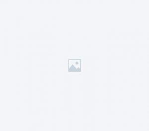 Executive TEAM – PT. Summit Seoyon Automotive Indonesia